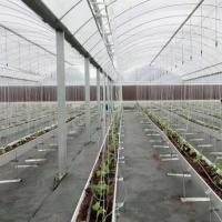 China Water Pipe Agricultural Greenhouse Solution with Film Cover and US 20/Square Meter for sale