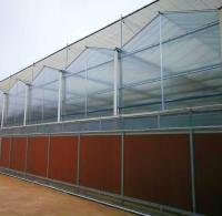 China Custom Modern Sunlight Greenhouse Double Layer for Mushroom Planting Requirements for sale