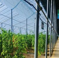 China Custom Modern Sunlight Greenhouse Double Layer for Mushroom Planting Requirements for sale
