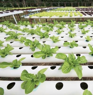 China Revolutionize Agriculture with PVC Pipe Drip Irrigation Greenhouse and Fast Shipping for sale