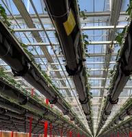 China Double Layer Agricultural Intelligent Sunlight Greenhouse with Insect Proof Net for sale