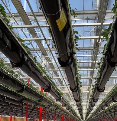 China Double Layer Agricultural Intelligent Sunlight Greenhouse with Insect Proof Net for sale