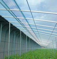 China Double Layer Agricultural Intelligent Sunlight Greenhouse with Insect Proof Net for sale