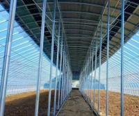 China Double Layer Agricultural Intelligent Sunlight Greenhouse with Insect Proof Net for sale