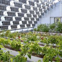 China Multi-Span Arch Type PE/Po Plastic Film Photovoltaic Solar Greenhouse for Performance for sale