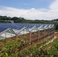 China Multi-Span Arch Type PE/Po Plastic Film Photovoltaic Solar Greenhouse for Performance for sale