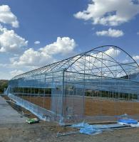 China Initial Payment JX-A0050 Water Pipe Agricultural Greenhouse for Vegetable Production for sale
