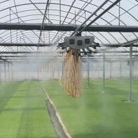 China Initial Payment JX-A0050 Water Pipe Agricultural Greenhouse for Vegetable Production for sale