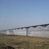 China Customized Multi-Span Film Greenhouse for Planting Flowers 30 Day Money Back Guarantee for sale