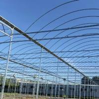 China Customized Multi-Span Film Greenhouse for Planting Flowers 30 Day Money Back Guarantee for sale