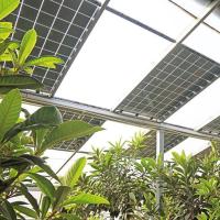 China Thermal Insulation Commercial Photovoltaic Greenhouses Customization Option Offered for sale
