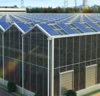 China Thermal Insulation Commercial Photovoltaic Greenhouses Customization Option Offered for sale