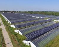 China Hydroponics and Soilless Cultivation Multi-Layer Greenhouse jx-SG-6 with Heat Storage for sale