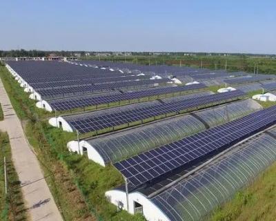China Hydroponics and Soilless Cultivation Multi-Layer Greenhouse jx-SG-6 with Heat Storage for sale