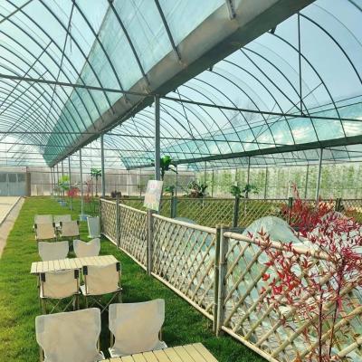 China Multi-Span Greenhouse for Hydroponics Growing Samples US 20/Square Meter Currency US for sale