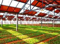 China 6/9.6/12meters Single/Multi Span Photovoltaic Greenhouses for Country Illuminate Humidity for sale