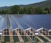 China Building Materials Steel Structure Multi-Span Arch Type Photovoltaic Greenhouses jx-SG-9 for sale