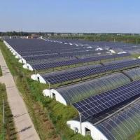 China Greenhouse Heat Preservation with Large Capacity Storage and Photovoltaic Panels for sale