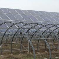 China High Humidity Single-Arch Greenhouse with Arched/Venloche Roofing Shape and Solar Panels for sale