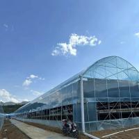 China Commercial Greenhouse with Cocopeat Soil Package Size 50.00cm * 60.00cm * 50.00cm for sale