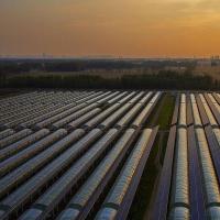 China 30 Days Return Refunds Double Layer PE/Po Plastic Film Photovoltaic Solar Greenhouse for sale