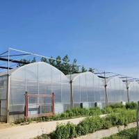 China Vegetable Production Po Film Greenhouse with Shading System and 30 Days Return refunds for sale
