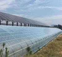 China PE/Po Plastic Film Photovoltaic Greenhouse Innovation 1209.00cm * 235.00cm * 239.00cm for sale