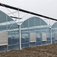 China Vegetable Production Po Film Greenhouse with Shading System and 30 Days Return refunds for sale