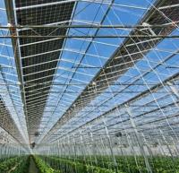 China Customization Multi-Span Arch Type Cucumber Lettuce Photovoltaic Greenhouses jx-SG-20 for sale