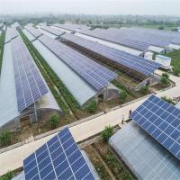 China Customization Multi-Span Arch Type Cucumber Lettuce Photovoltaic Greenhouses jx-SG-20 for sale
