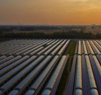 China Steel Structure Greenhouses Energy- jx-SG-21 Thermal Insulation Technology with Standards for sale