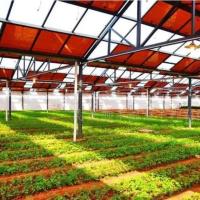 China Steel Structure Greenhouses Energy- jx-SG-21 Thermal Insulation Technology with Standards for sale