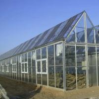 China Hydroponic Ventilation Photovoltaic Greenhouses 6/9 and 6/12 Meters for Crop Production for sale
