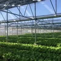 China Innovative Single/Multi Span Photovoltaic Commercial Greenhouses for Sustainable Growth for sale