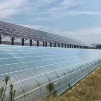 China Innovative Single/Multi Span Photovoltaic Commercial Greenhouses for Sustainable Growth for sale