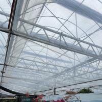 China Steel Structure Multi-Span Plastic Greenhouse Package Size 50.00cm * 60.00cm * 50.00cm for sale