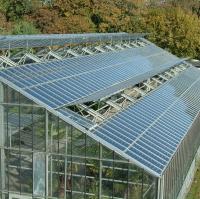 China Heat Storage Single-Arch Commercial Photovoltaic Greenhouses Long-Lasting Performance for sale