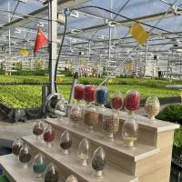 China Vegetable Production Po Film Greenhouse with Water Pipe System and Low Shipping Cost for sale