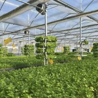 China Vegetable Production Po Film Greenhouse with Water Pipe System and Low Shipping Cost for sale