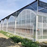 China Multi Span Po Film Greenhouse in High Demand Package Size 50.00cm * 60.00cm * 50.00cm for sale