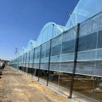 China Multi Span Po Film Greenhouse in High Demand Package Size 50.00cm * 60.00cm * 50.00cm for sale