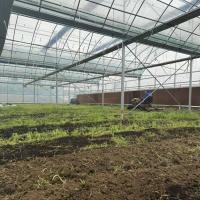 China Multi-Span Tunnel Po Film Greenhouse 30 Days Return Refunds US Currency Greenhouse for sale