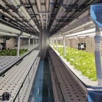 China Shipping Container Greenhouse for Mushroom Cultivation in Smart Design JX-CG-0001 for sale