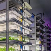 China Shipping Container Greenhouse for Mushroom Cultivation in Smart Design JX-CG-0001 for sale