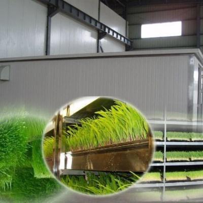 China Multi-Functional Container Forage for Double Layer Flower/Vegetable/Seed Breeding for sale