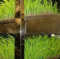 China Multi-Functional Container Forage for Double Layer Flower/Vegetable/Seed Breeding for sale