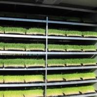 China Multi-Functional Container Forage for Double Layer Flower/Vegetable/Seed Breeding for sale