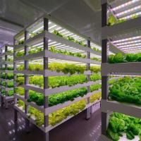 China Shipping Cost and Estimated Delivery Time Container Greenhouses for Leafy Vegetables for sale