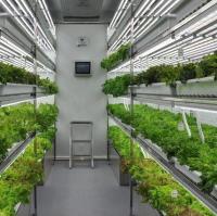 China Shipping Cost and Estimated Delivery Time Container Greenhouses for Leafy Vegetables for sale