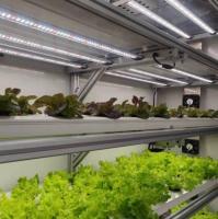 China Shipping Cost and Estimated Delivery Time Container Greenhouses for Leafy Vegetables for sale